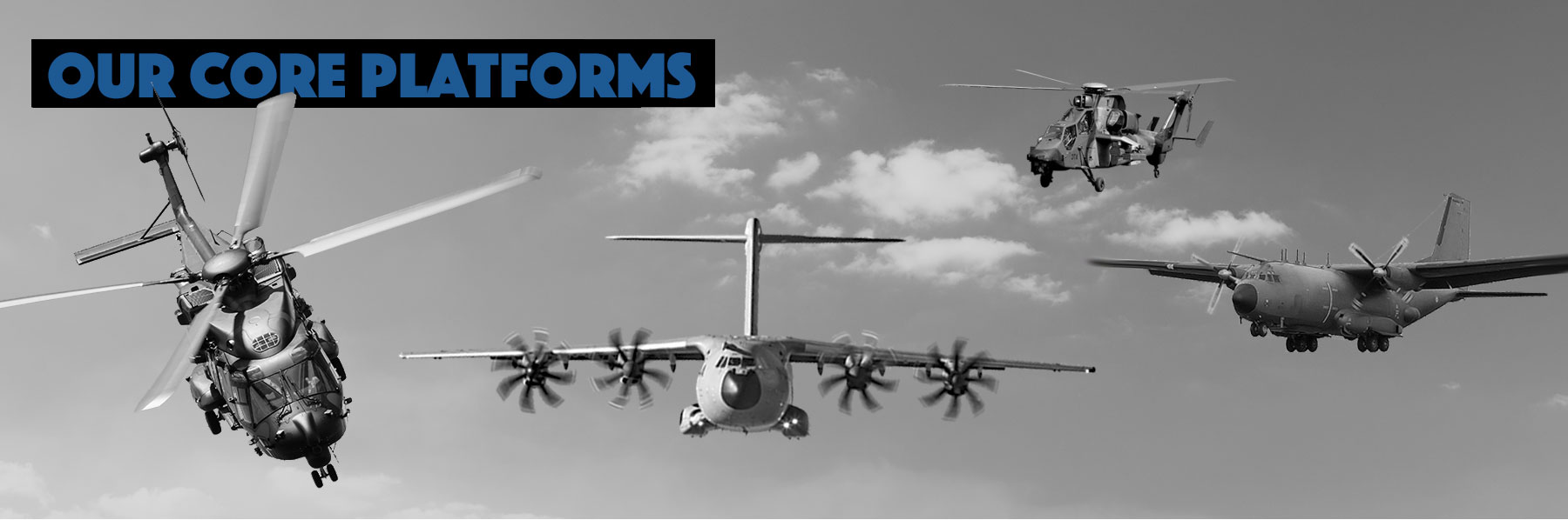PLATFORMS - OEM Defence Services